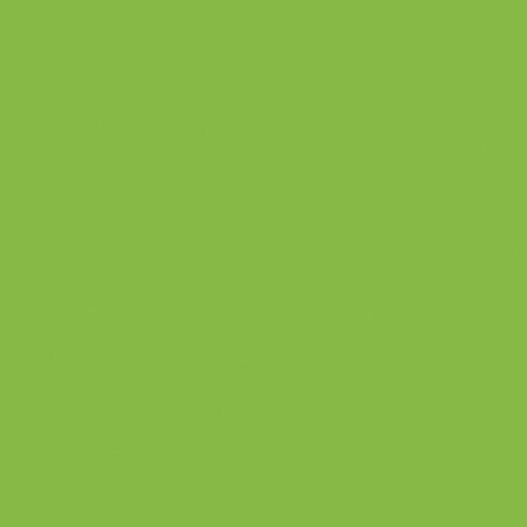 Formica Vibrant Green 6901 - Laminate sheets – LEDGEBAND